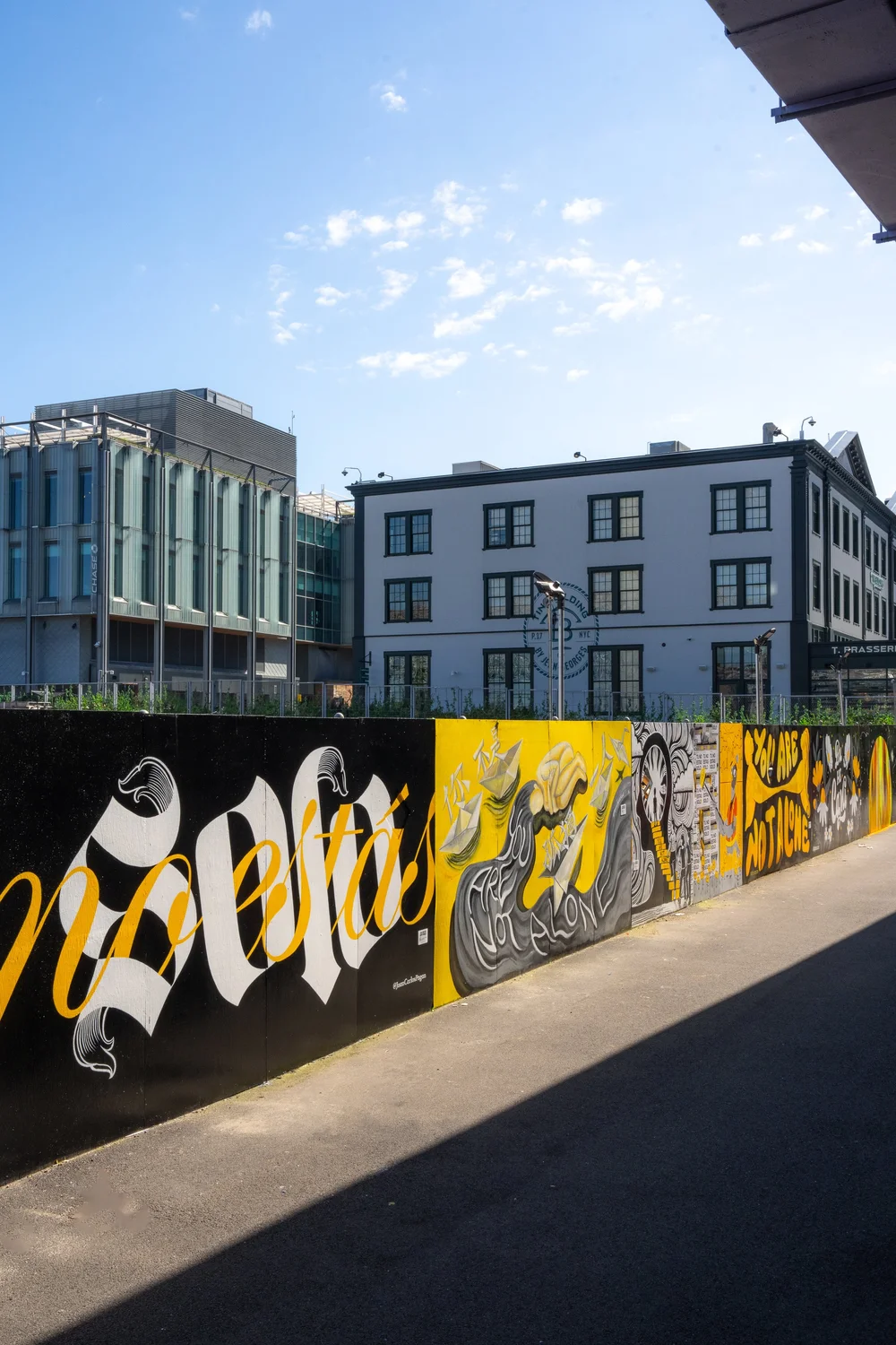 Public Art Projects | Murals for Mental Health — You Are Not Alone Murals