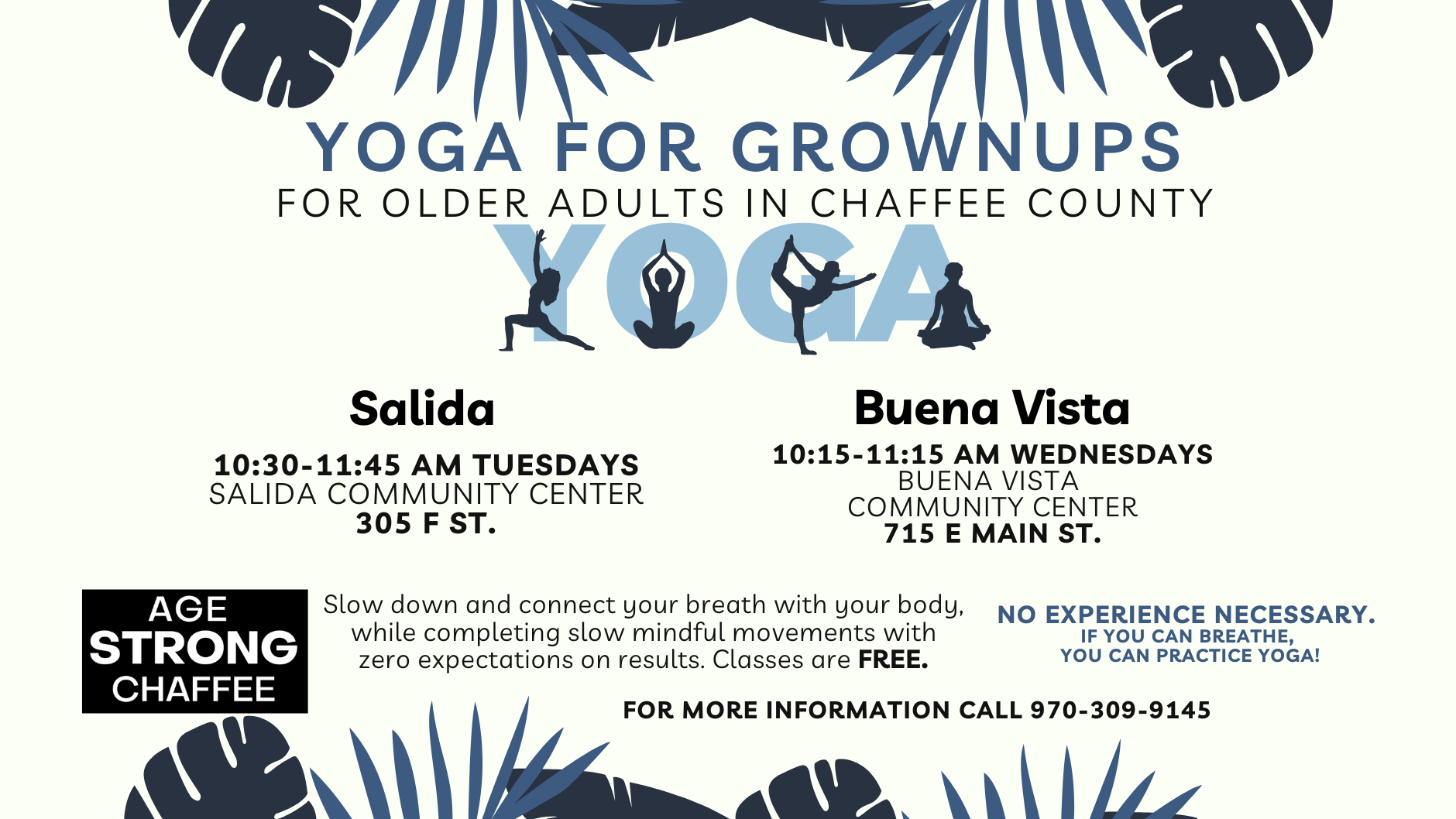 Yoga for Everyone — Embracing Aging Chaffee
