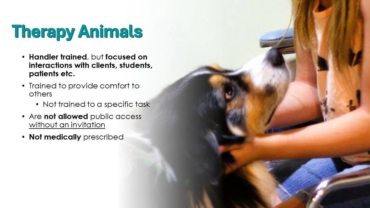 Therapy Dog Training in La Crosse, WI | Happy Tails Training Center ...