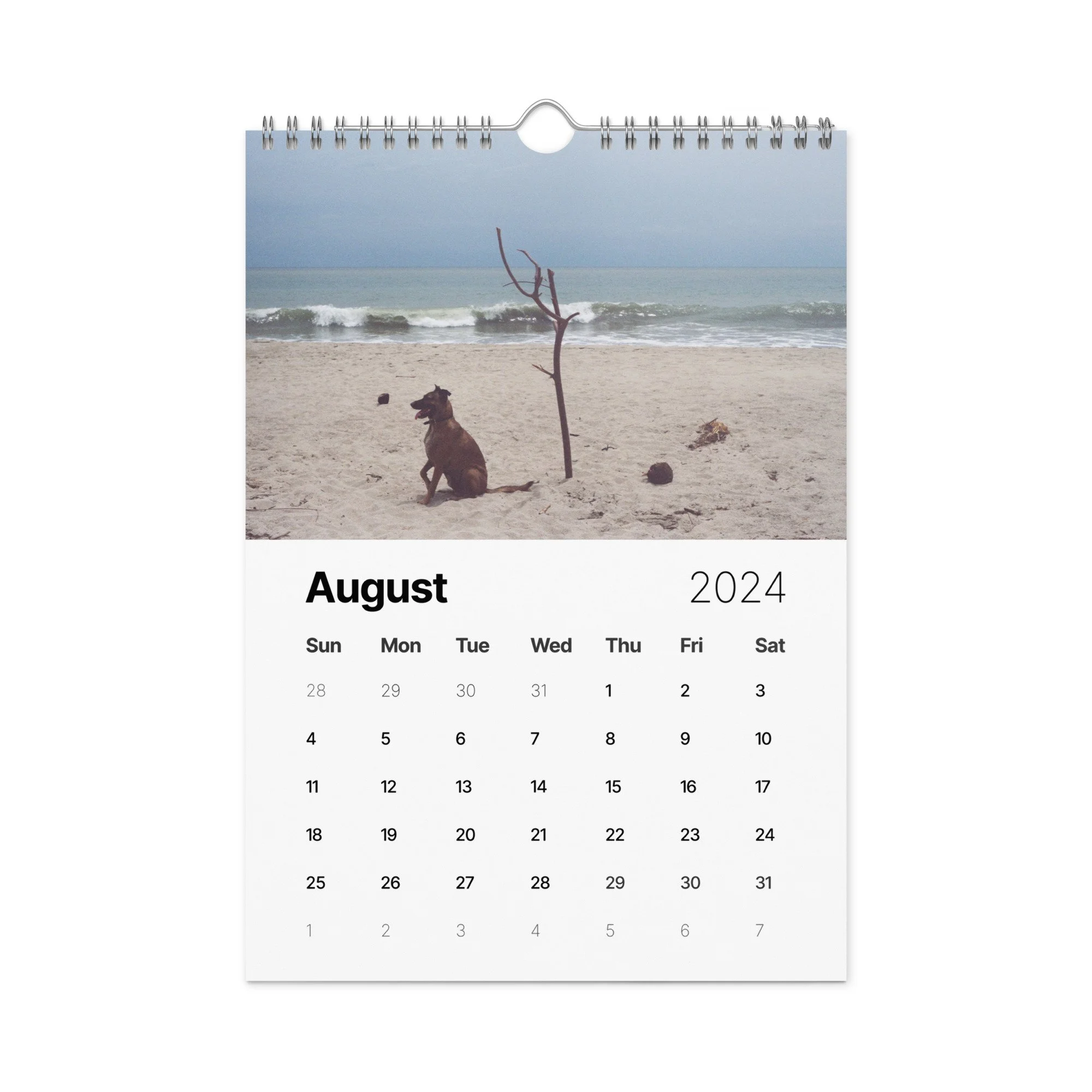 Caravana Canina 2024 Wall Calendar — CARAVANA CANINA