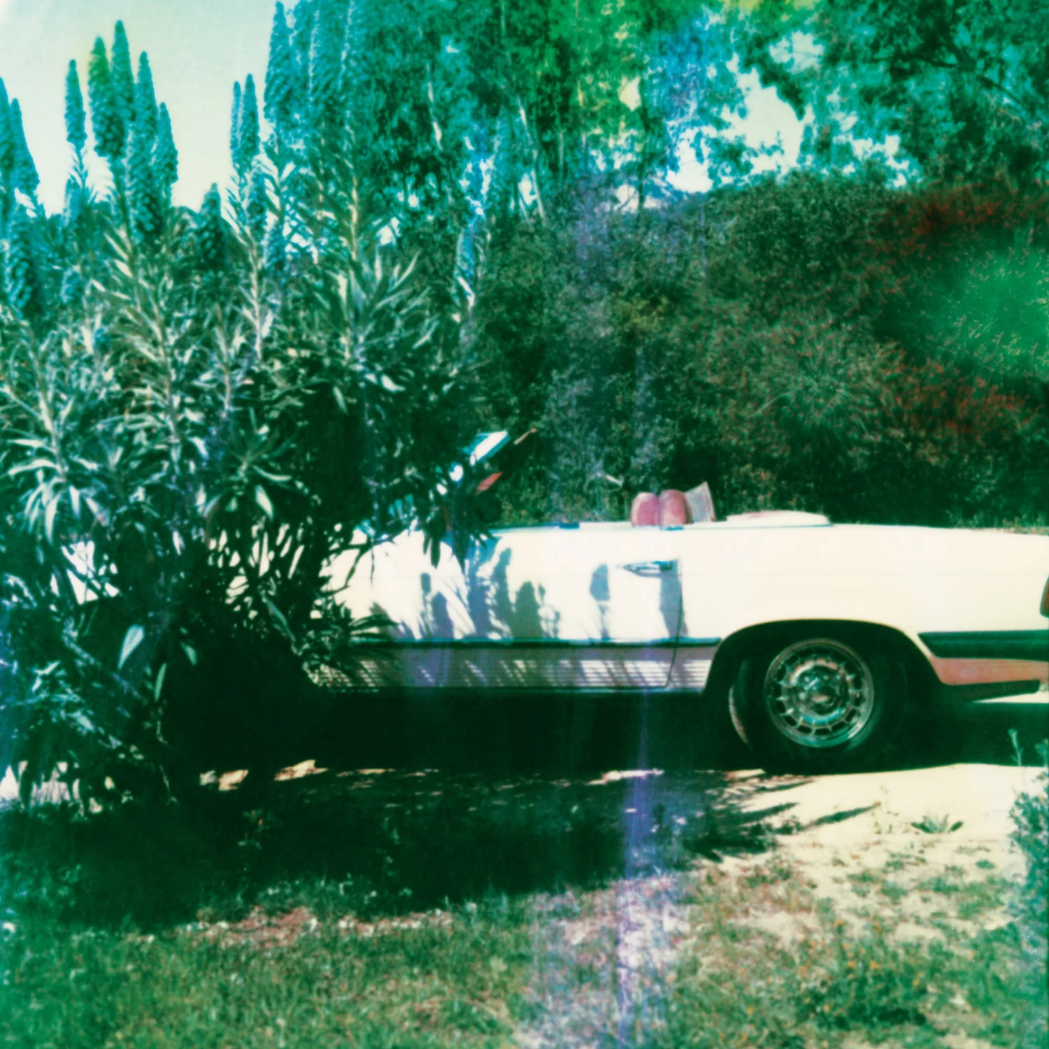 Neil Krug