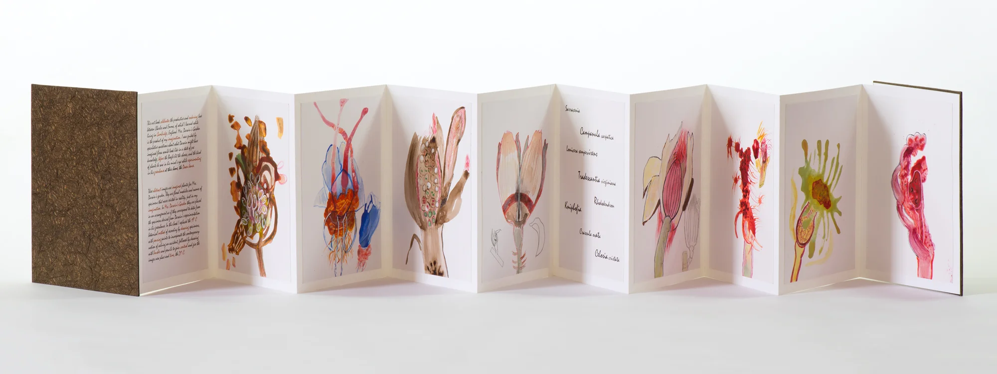 Artist' Books & Altered Dictionaries — VESNA krezich KITTELSON