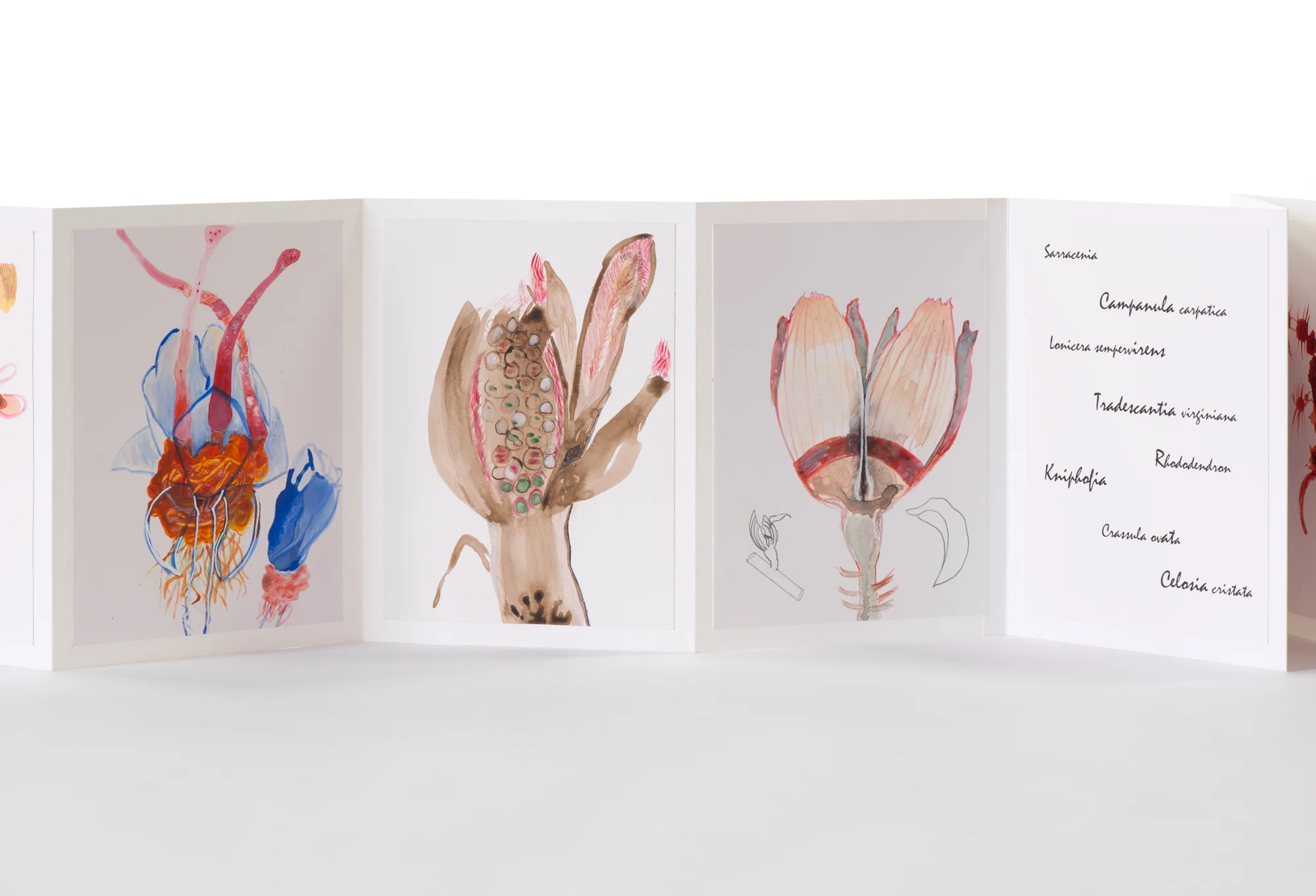 Artist' Books & Altered Dictionaries — VESNA krezich KITTELSON