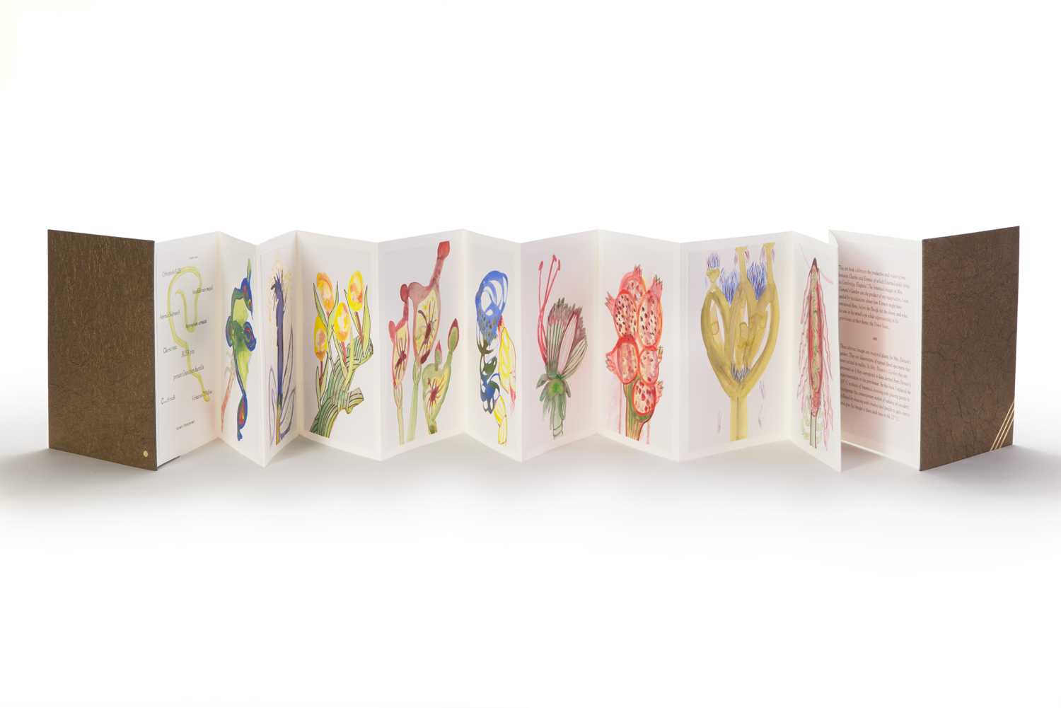 Artist' Books & Altered Dictionaries — VESNA krezich KITTELSON