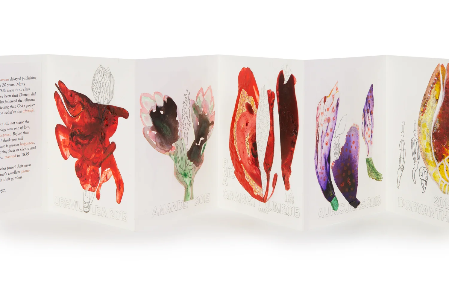 Artist' Books & Altered Dictionaries — VESNA krezich KITTELSON