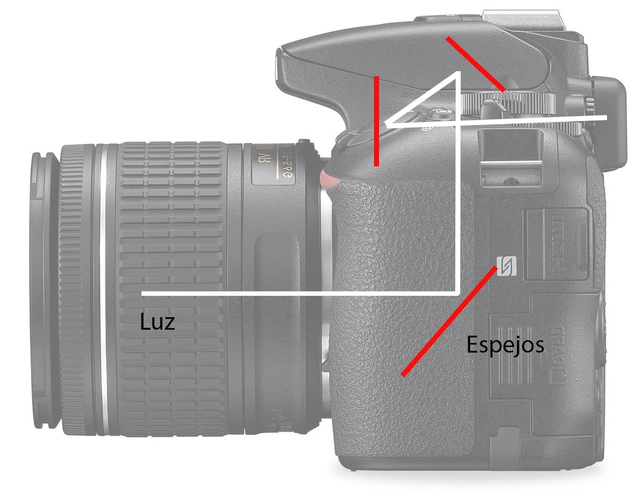 ¿Mirrorles ó DSLR? — Fotógrafos Puerto Rico