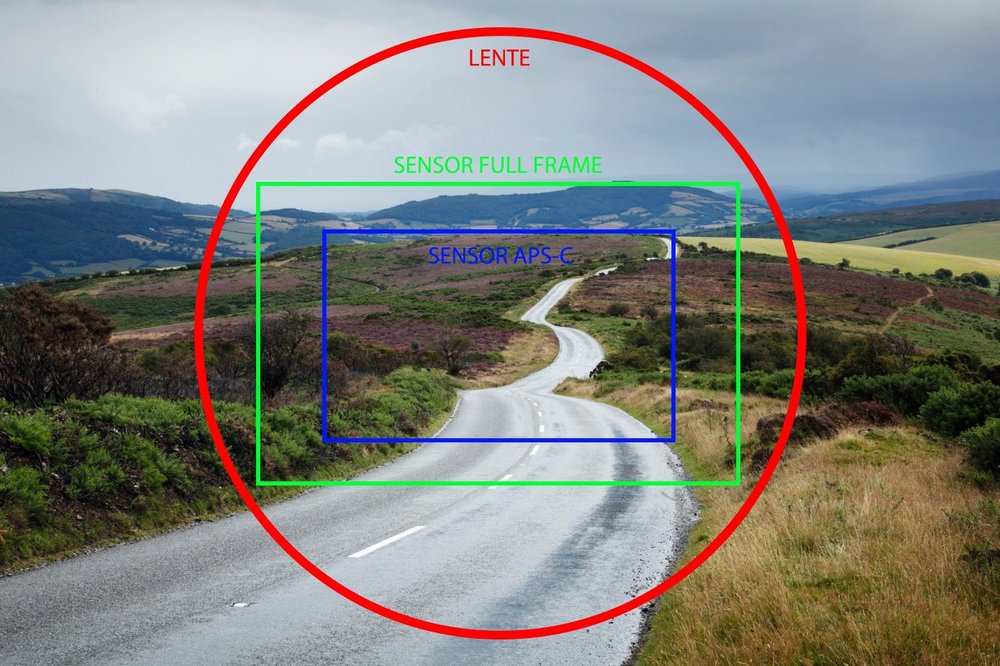 Diferentes tipos de sensores — FPR