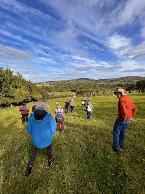 Farm Experience — Olly's Farm