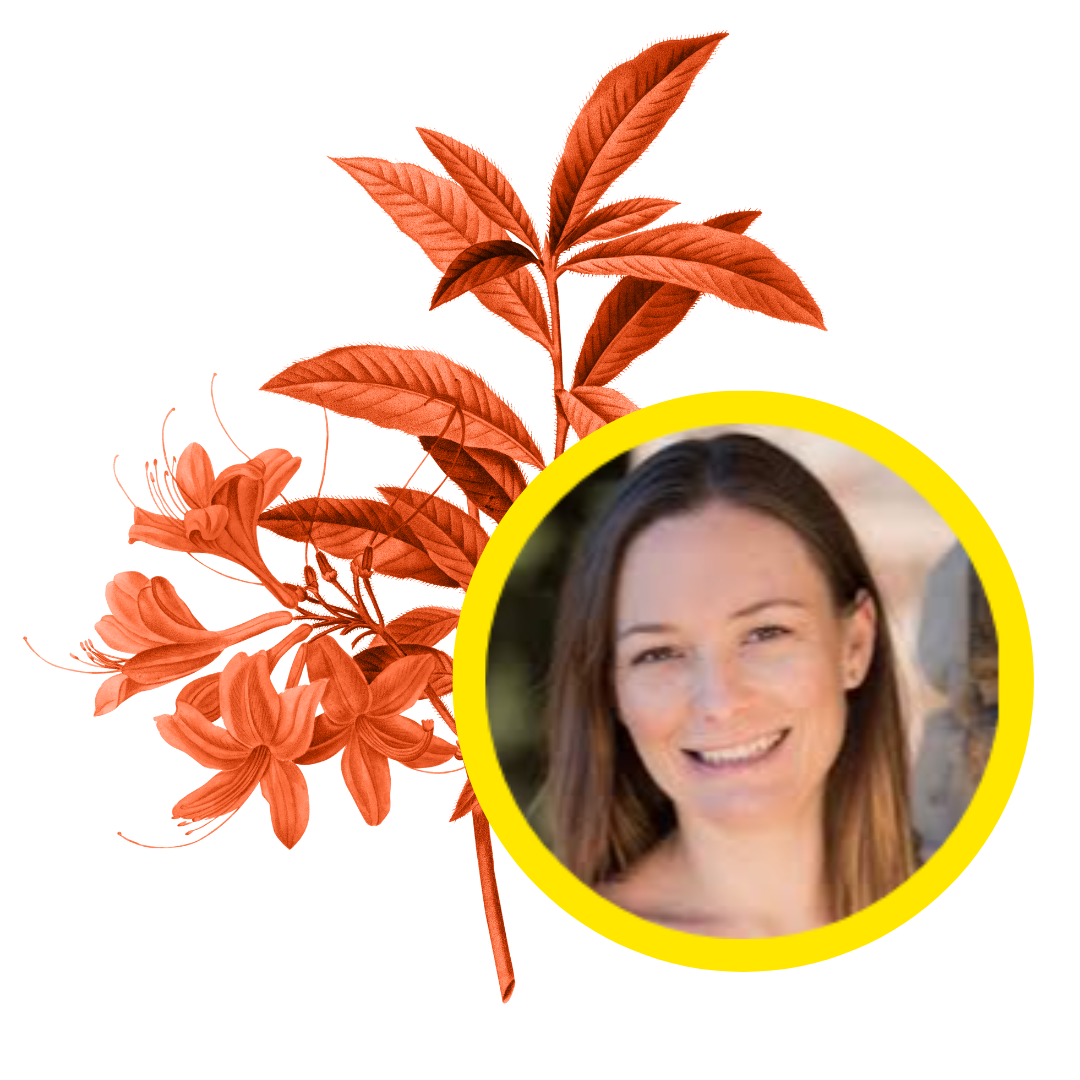 Lumen & Fox | Content Writing Services