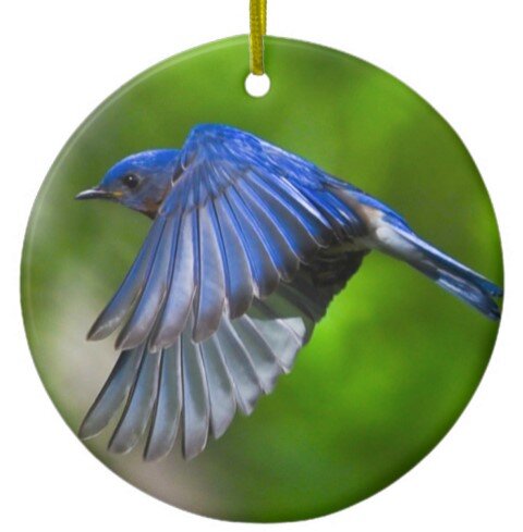 2 LEFT! Ornament Ceramic: Bluebird in Flight — wrightpix photo gifts