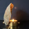 Native Norfolk Shells | Discover Unique Norfolk Shells - Shop Now ...