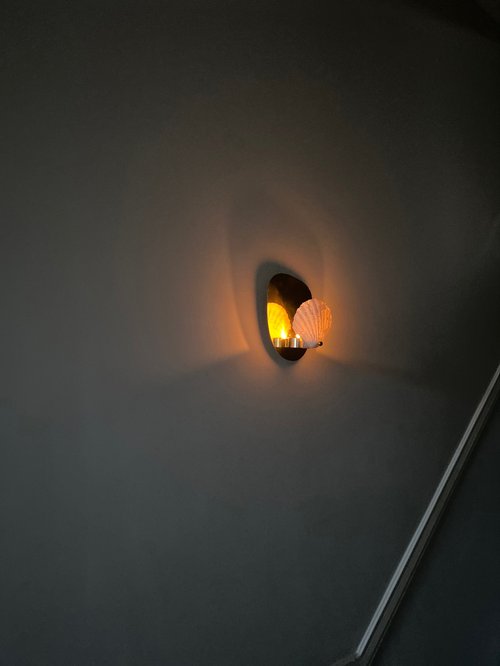 Native Norfolk Shells — CHARLOTTE PACKE LIGHTING