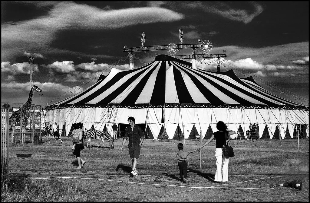 SF nonprofit circus adds a special Boondoggle side-show — OPPORTUNITY NOW