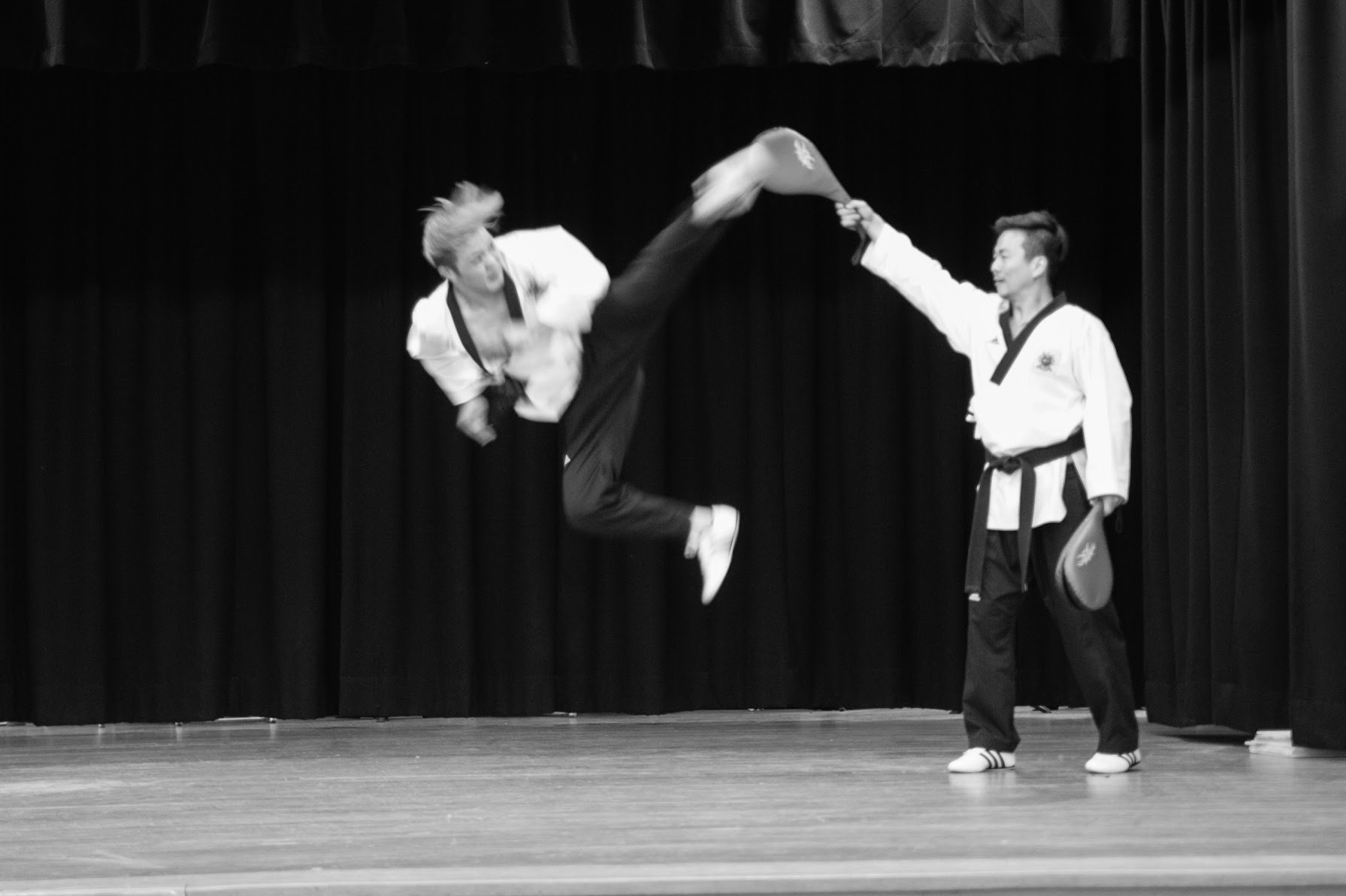 Double Dragon Tae Kwon Do