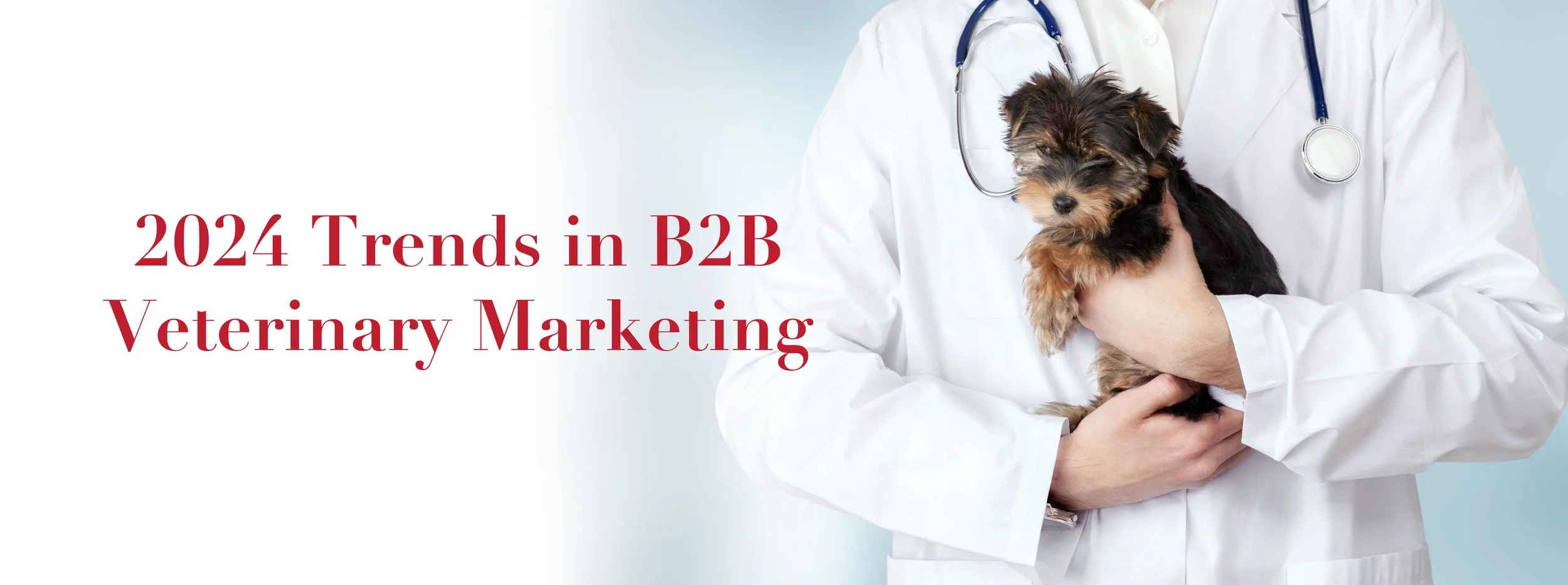 2024 Trends in Veterinary Marketing — Red Brick Partners
