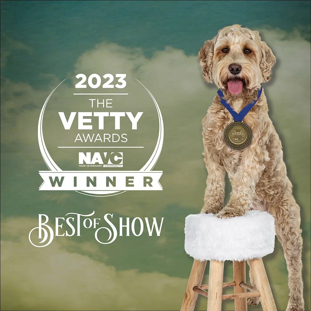 Red Brick Brings Home Two Vetty Marketing Awards in 2023 — Red Brick ...