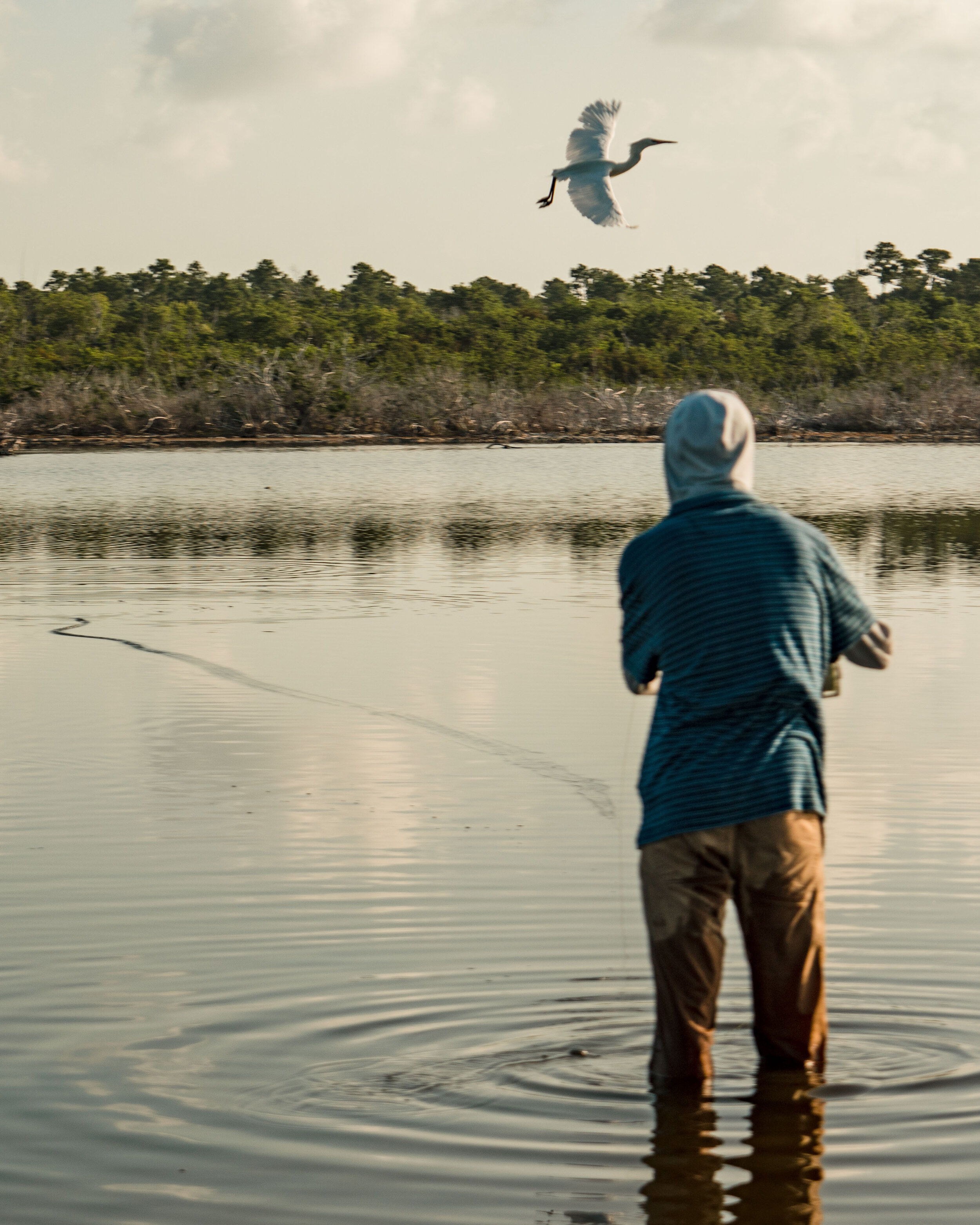 Delphi Gallery Bonefish & Permit in Abaco — The Delphi Club