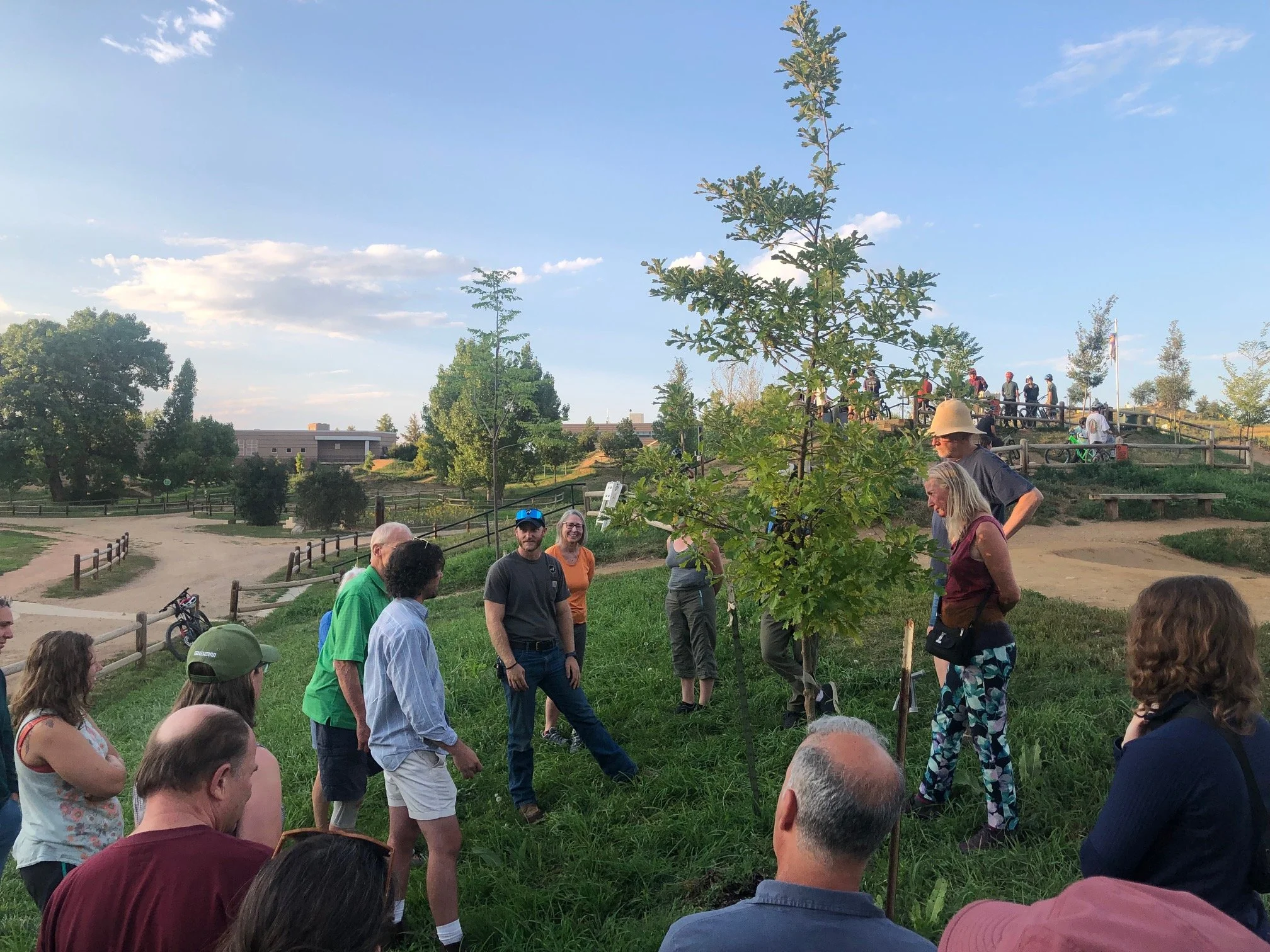 Tree Trust — PLAY Boulder Foundation