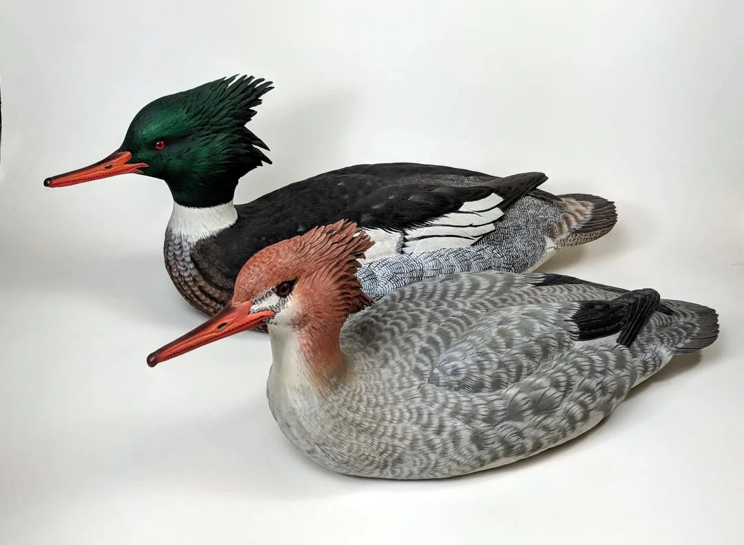MERGANSERS DUCK PAIR — Zint Designs