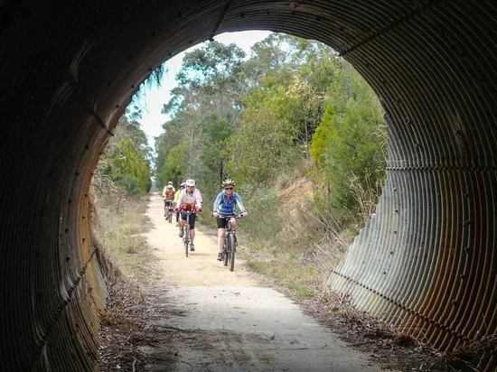 Fully supported cycle tour along 6 of the best Victorian rail trails ...