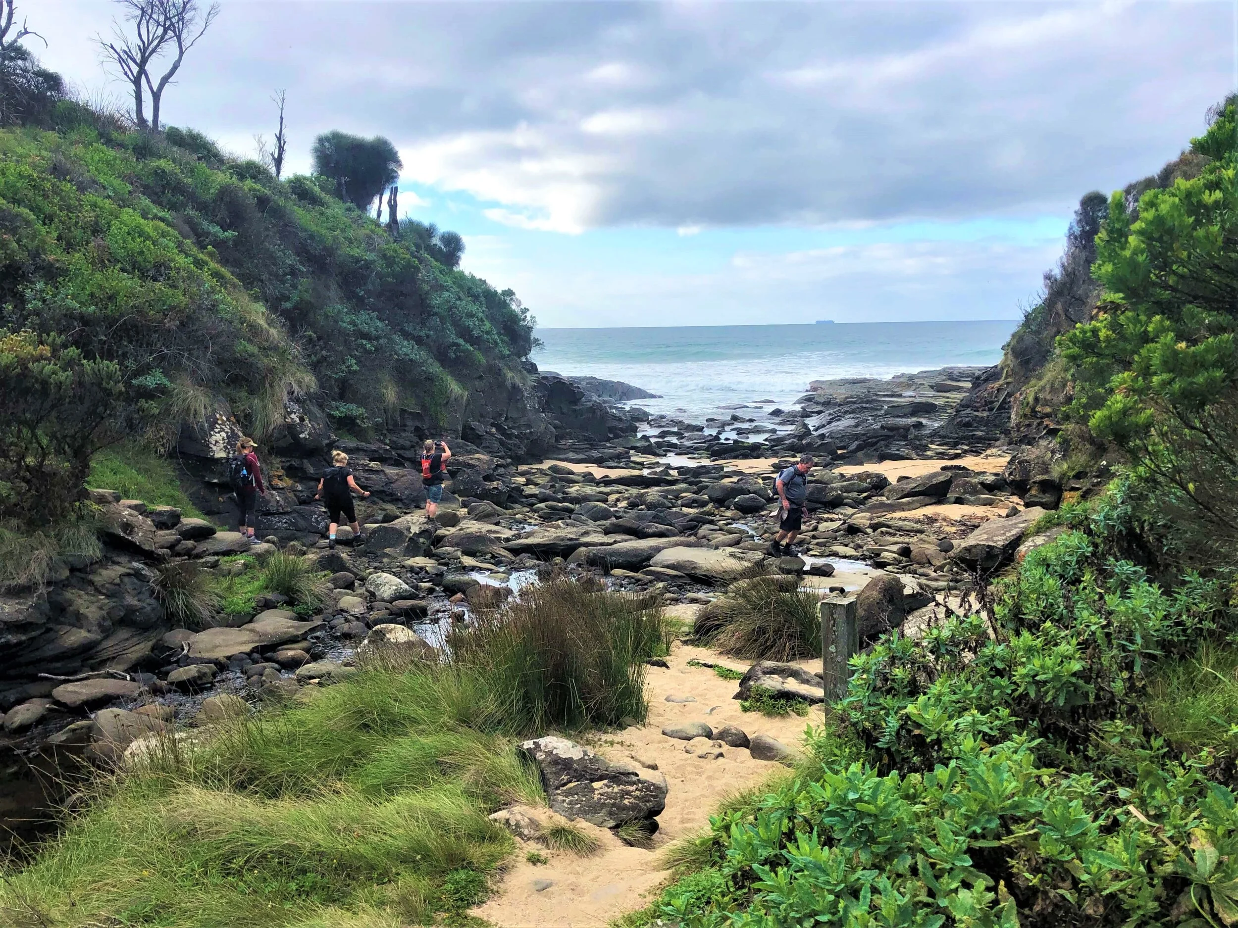 Great Ocean Walk Tour - AllTrails Walking Tours — AllTrails Bicycle Tours