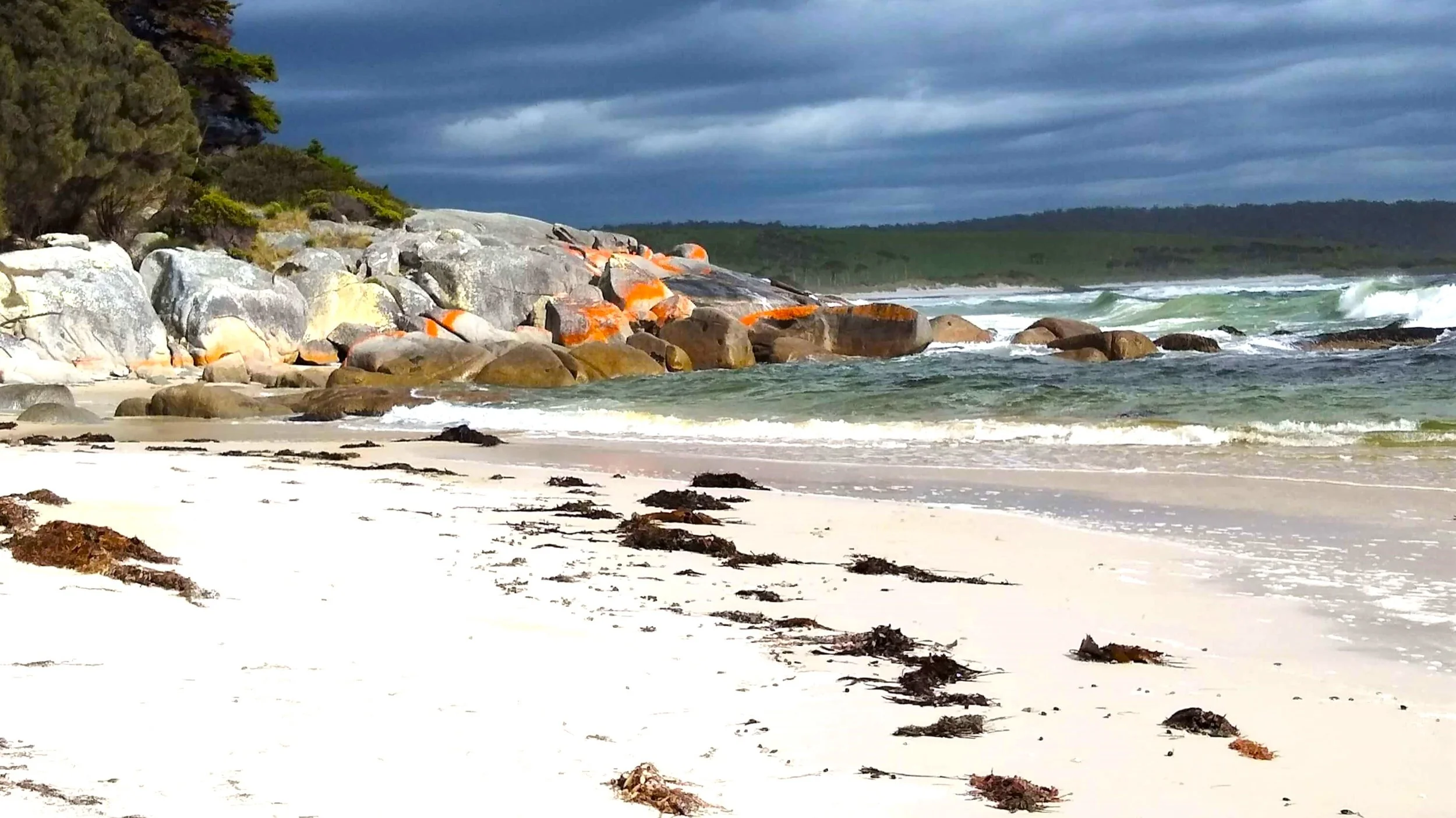 Trails & Country Lanes of Tasmania Slow Cycle Tour — AllTrails Bicycle ...