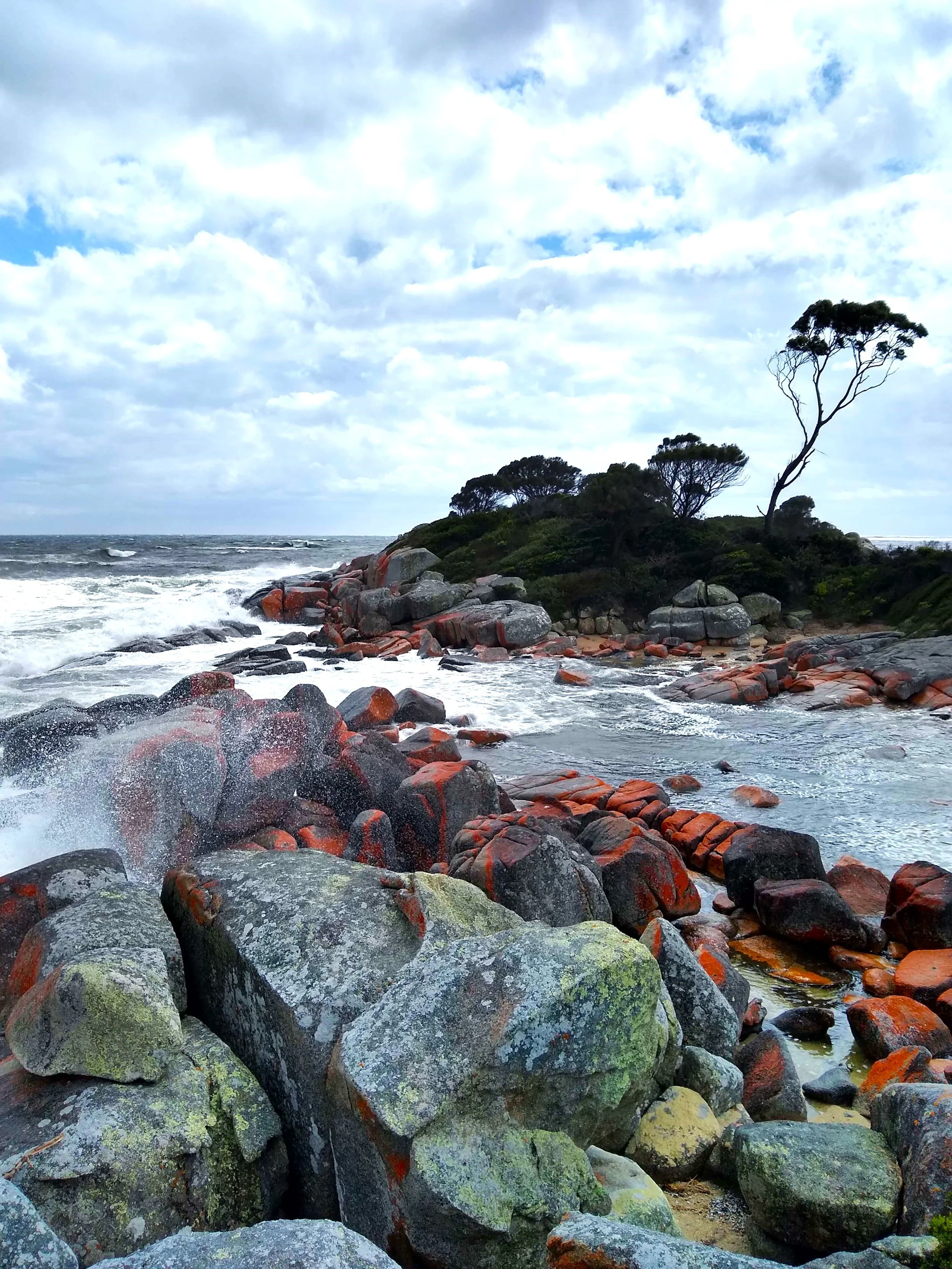 Trails & Country Lanes of Tasmania Slow Cycle Tour — AllTrails Bicycle ...