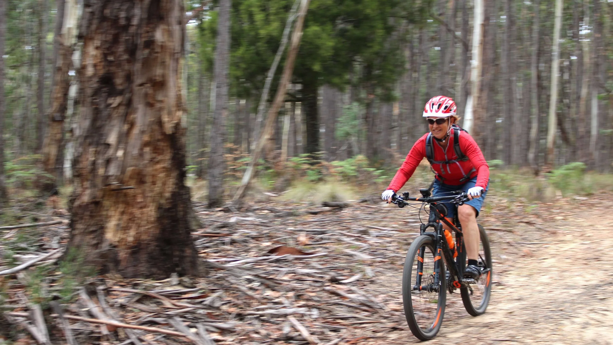 Goldfields Track Mountain Bike Tour 2024 — AllTrails Bicycle Tours