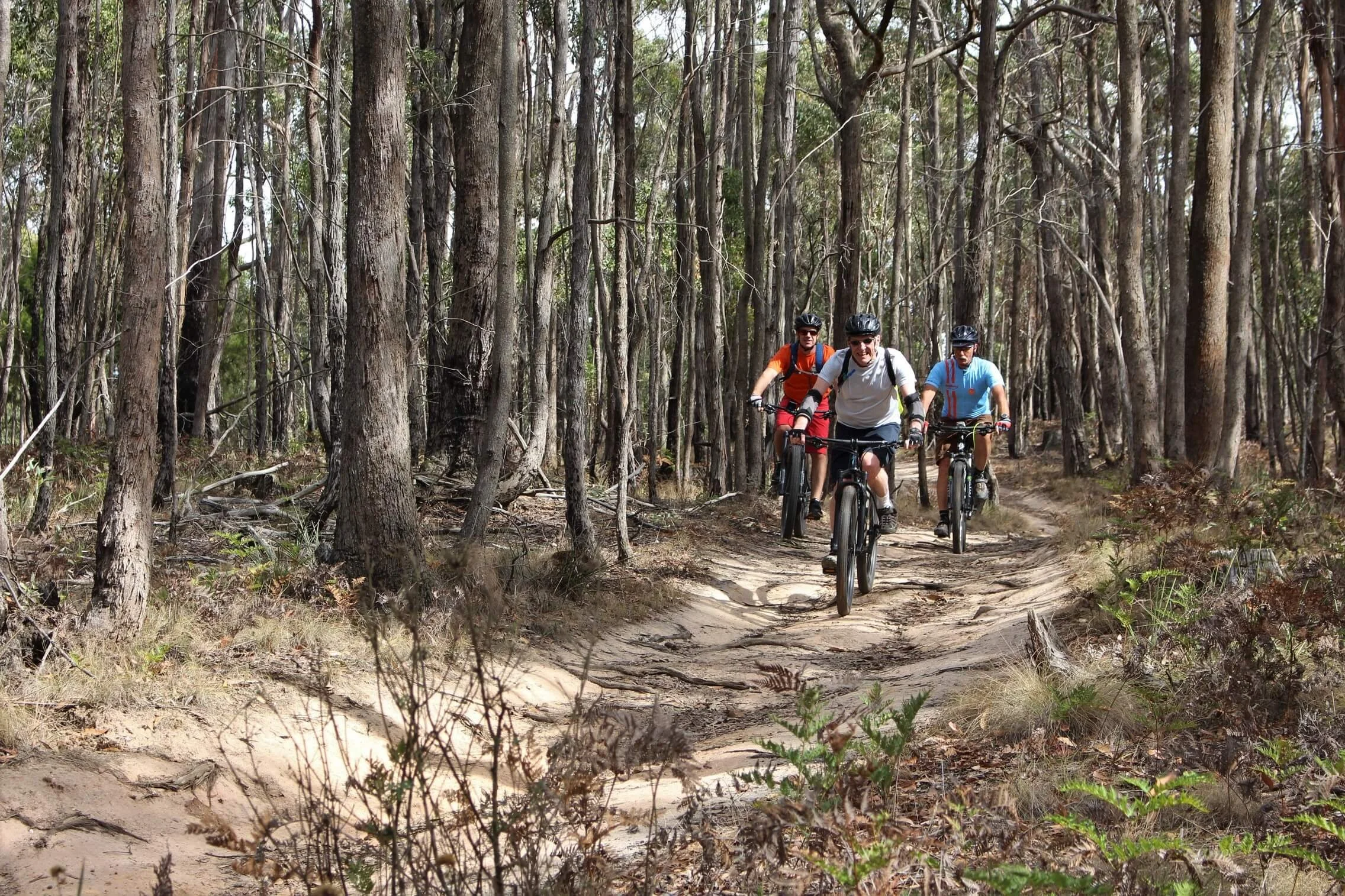 Goldfields Track Mountain Bike Tour 2024 — AllTrails Bicycle Tours