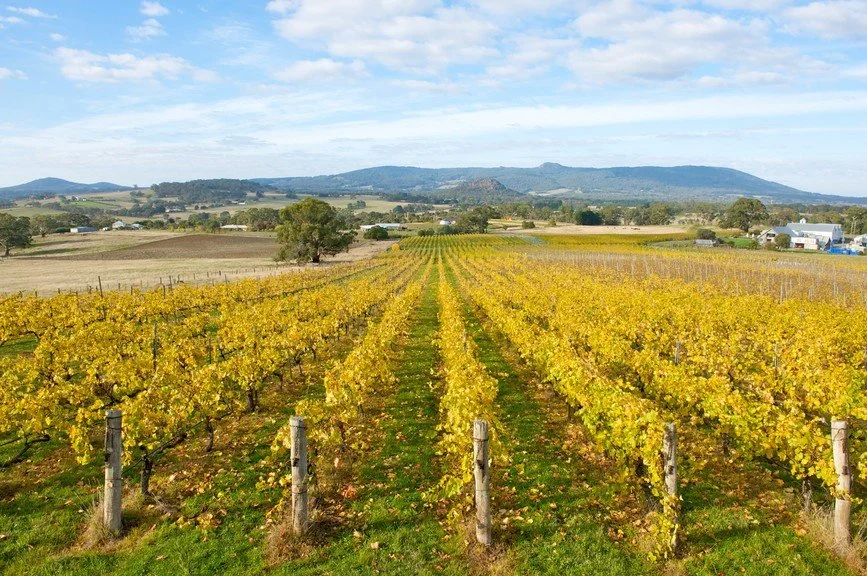 Goldfields Track Mountain Bike Tour 2024 — AllTrails Bicycle Tours