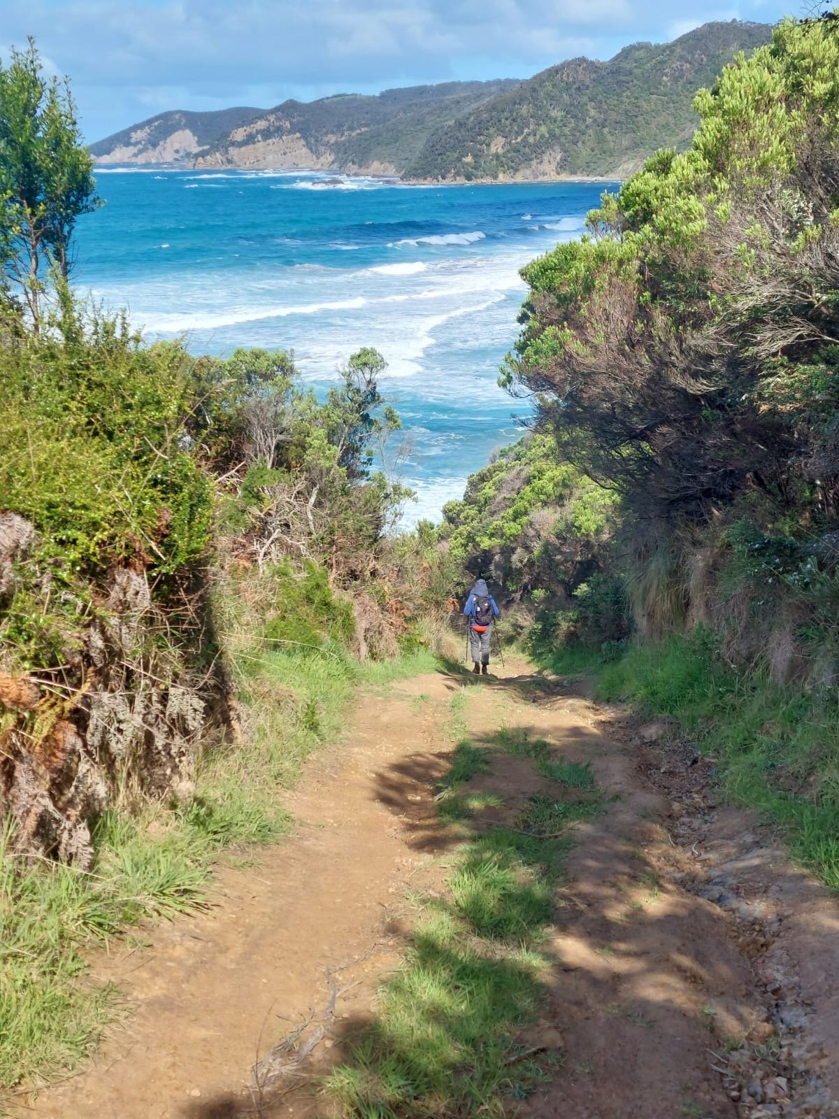 Great Ocean Walk Tour - AllTrails Walking Tours — AllTrails Bicycle Tours