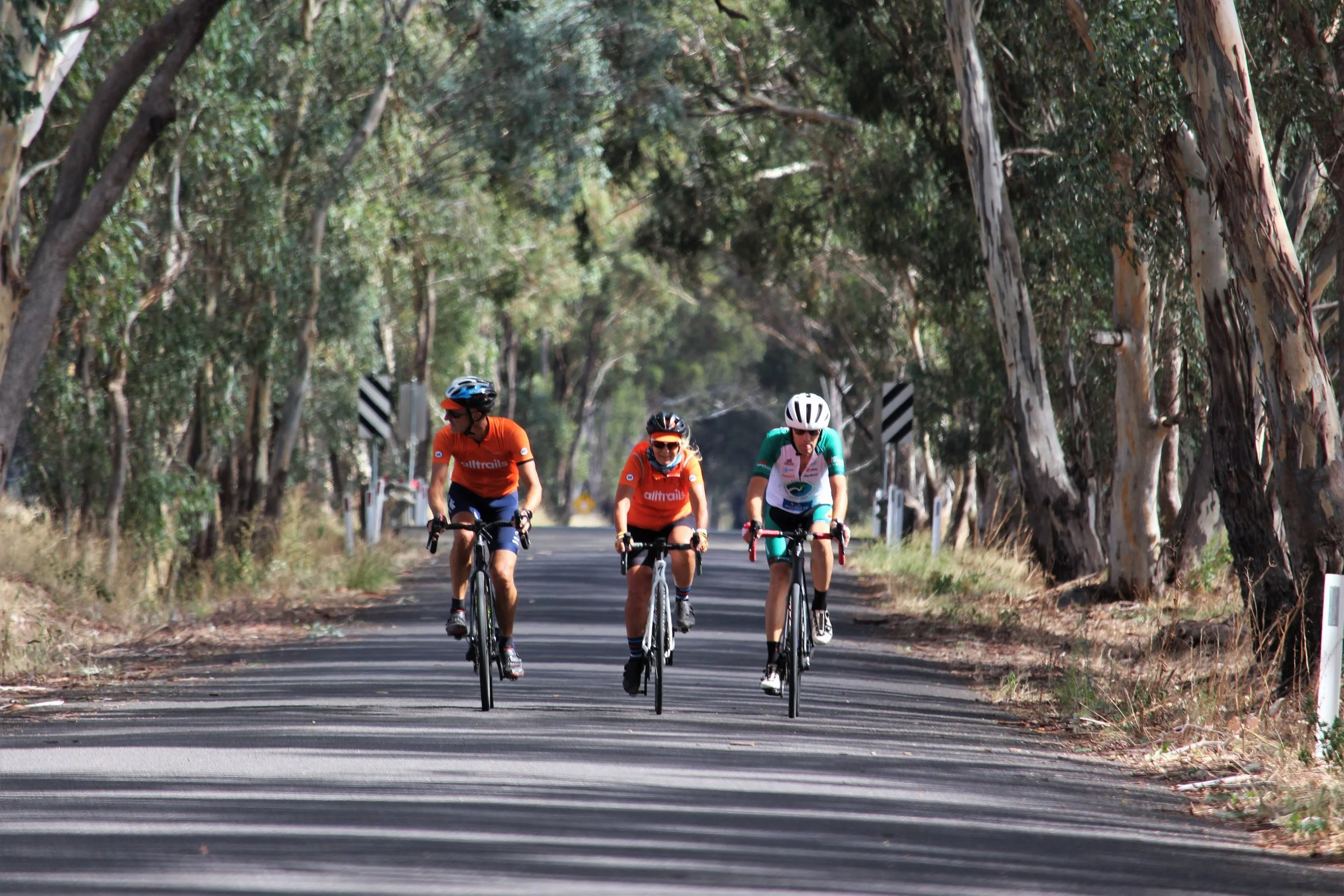 Silo Art Cycle Tour VIC 2025 — AllTrails Bicycle Tours