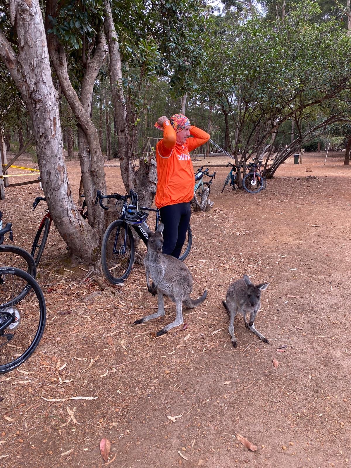 Slices of Orange Cycle Tour — AllTrails Bicycle Tours
