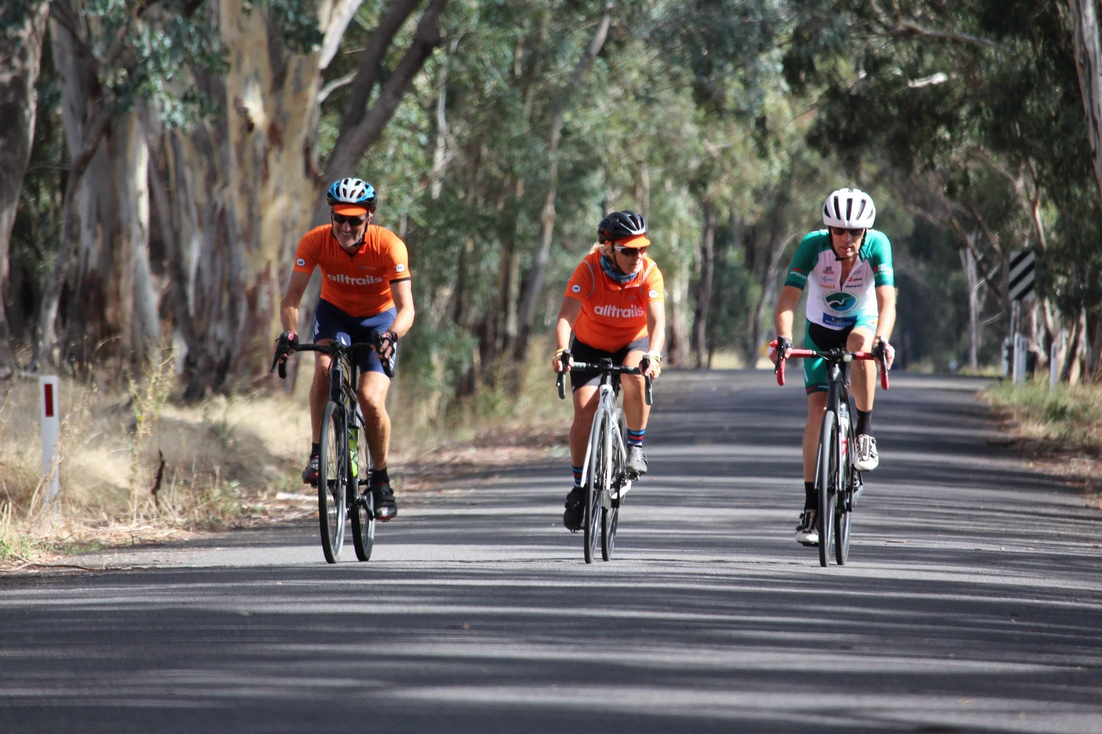 Colonial Country Towns Cycle Tour — AllTrails Bicycle Tours