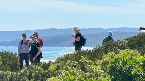 Great Ocean Walk Tour - AllTrails Walking Tours — AllTrails Bicycle Tours