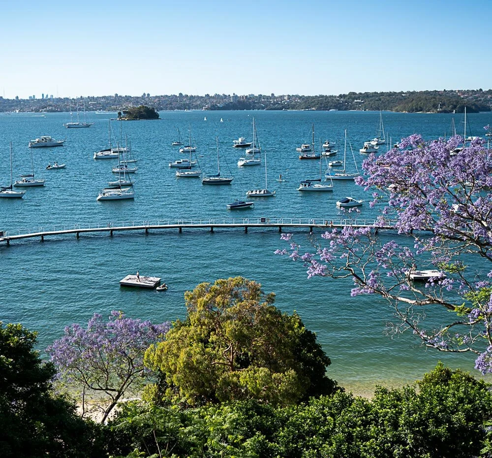 Places We Swim Sydney — Places We Swim