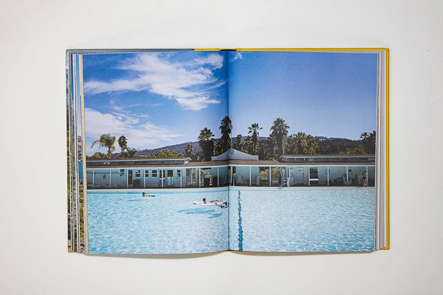 Books — Places We Swim