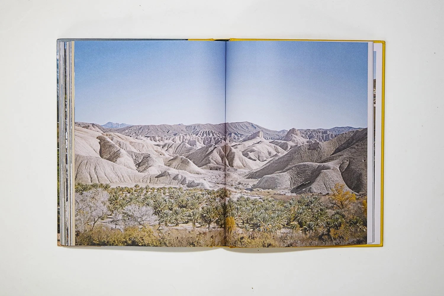 Books — Places We Swim