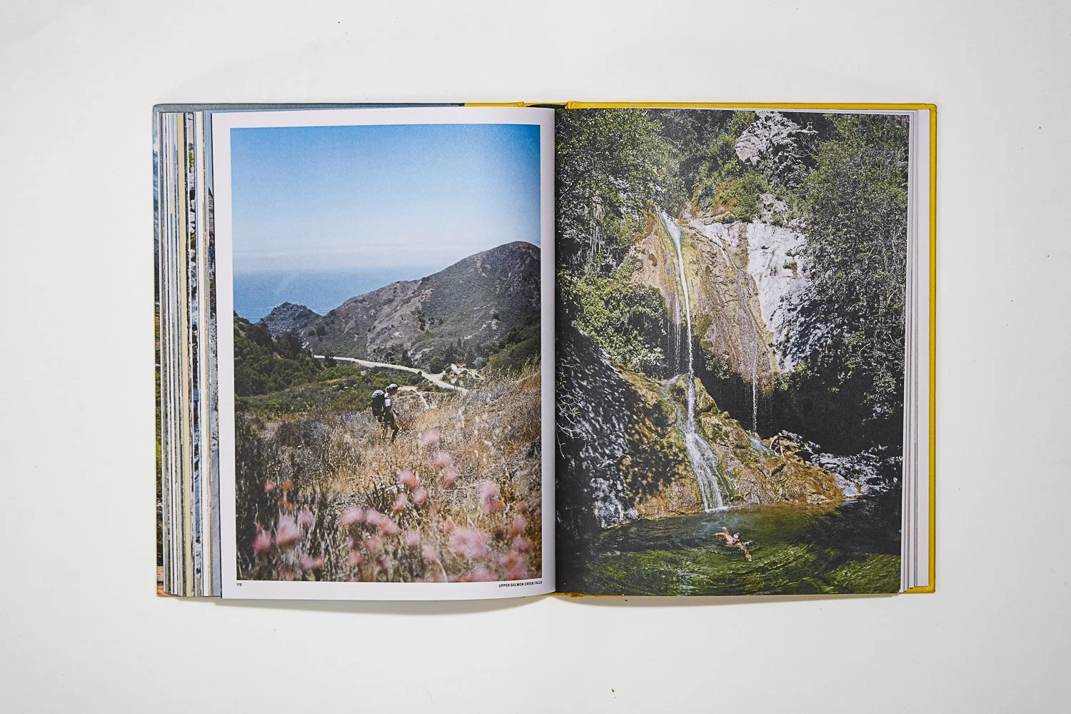 Books — Places We Swim