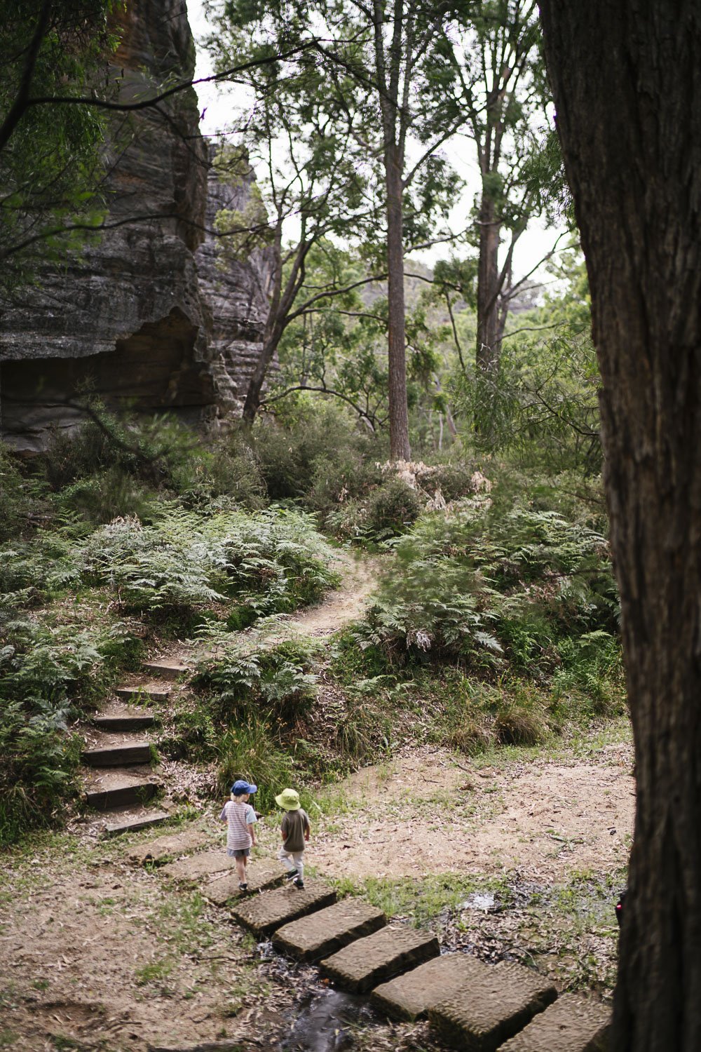 The Drip Walking Track, Mudgee — Places We Swim
