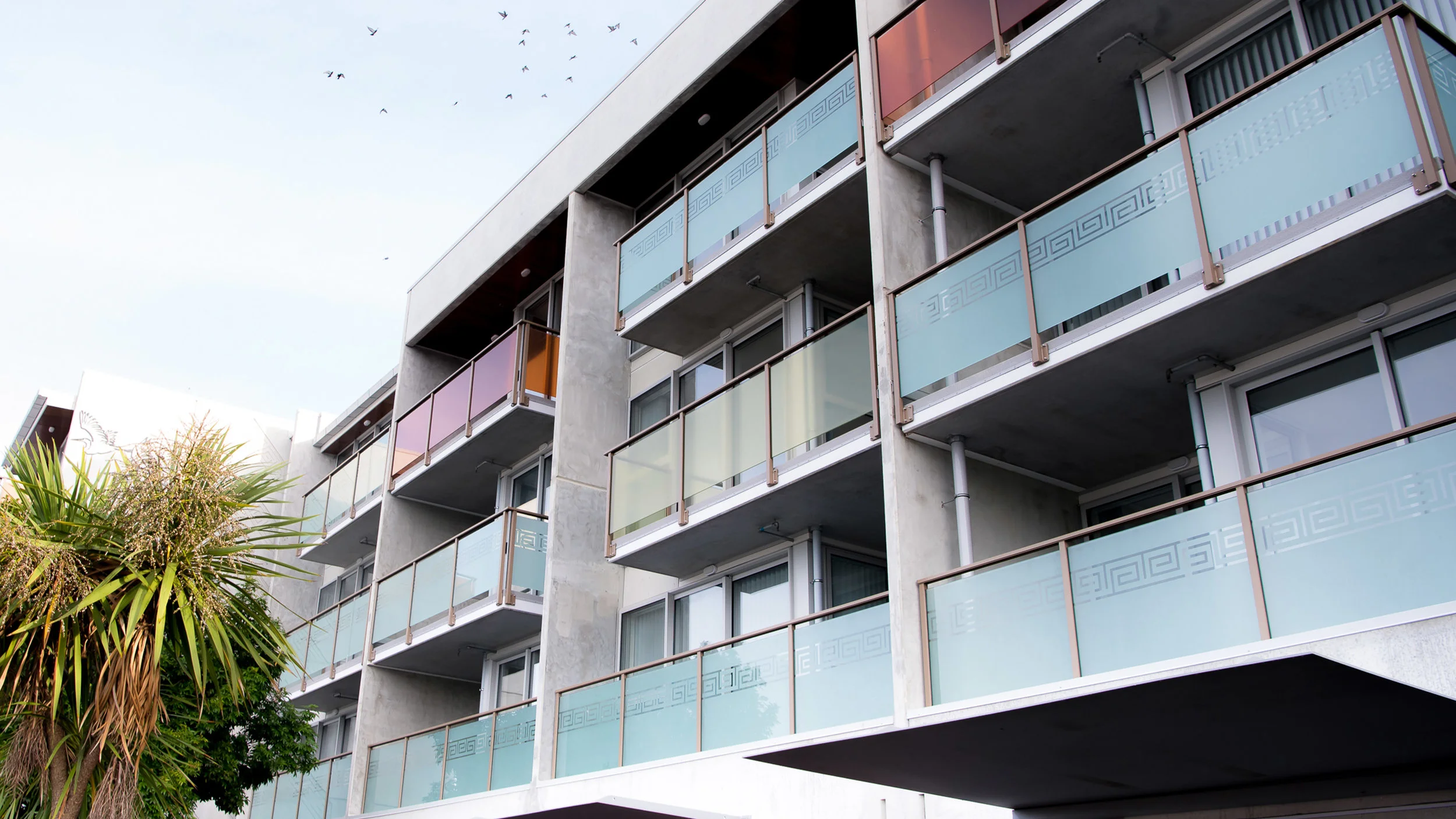 Who we are — Auckland Community Housing Providers' Network