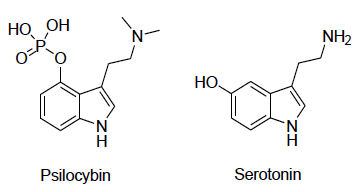 Psilocybin Molecule