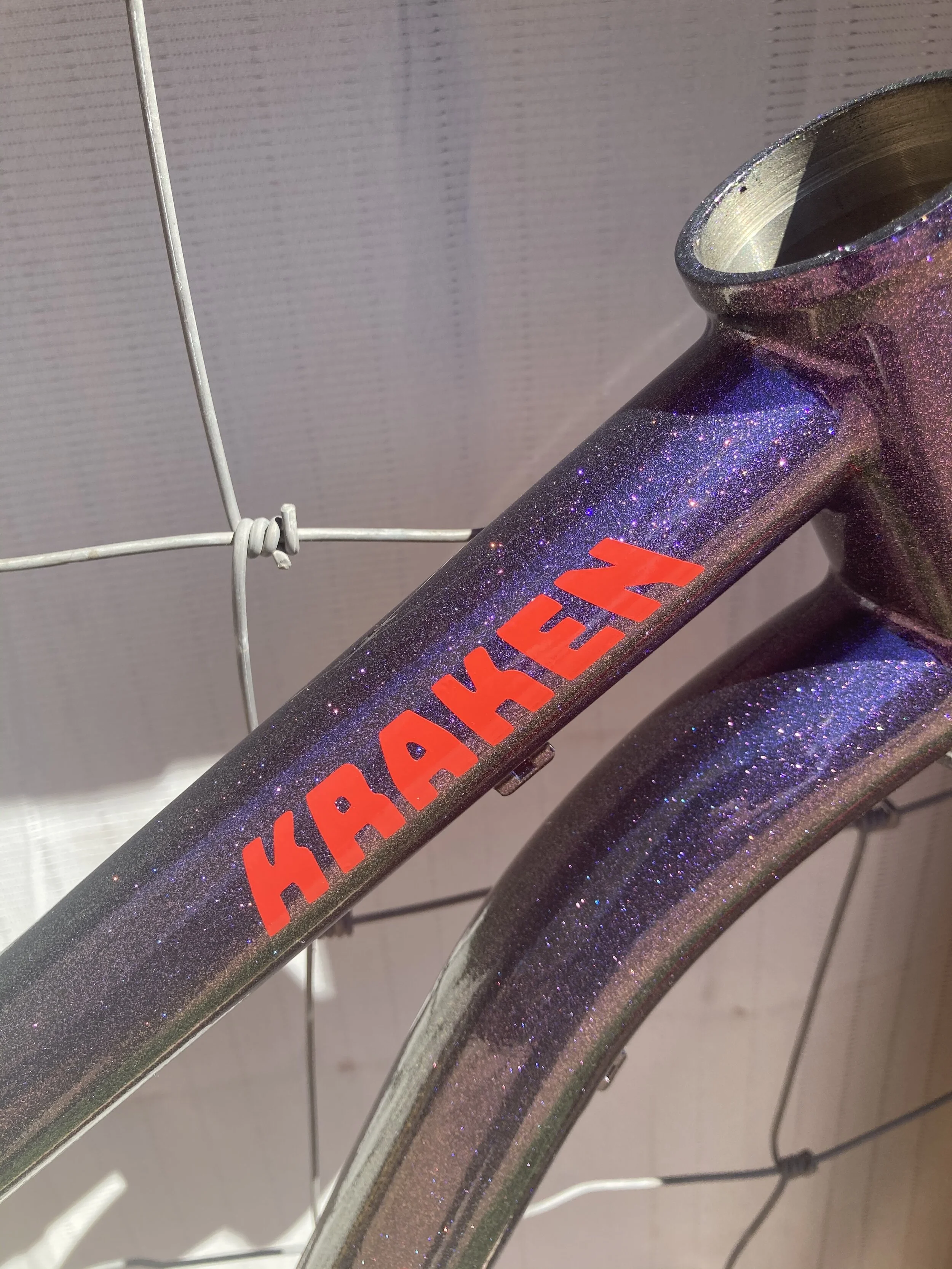 Blaze Titanium Bicycles — Bike Fiend - Bike Shop | Bike Rentals ...