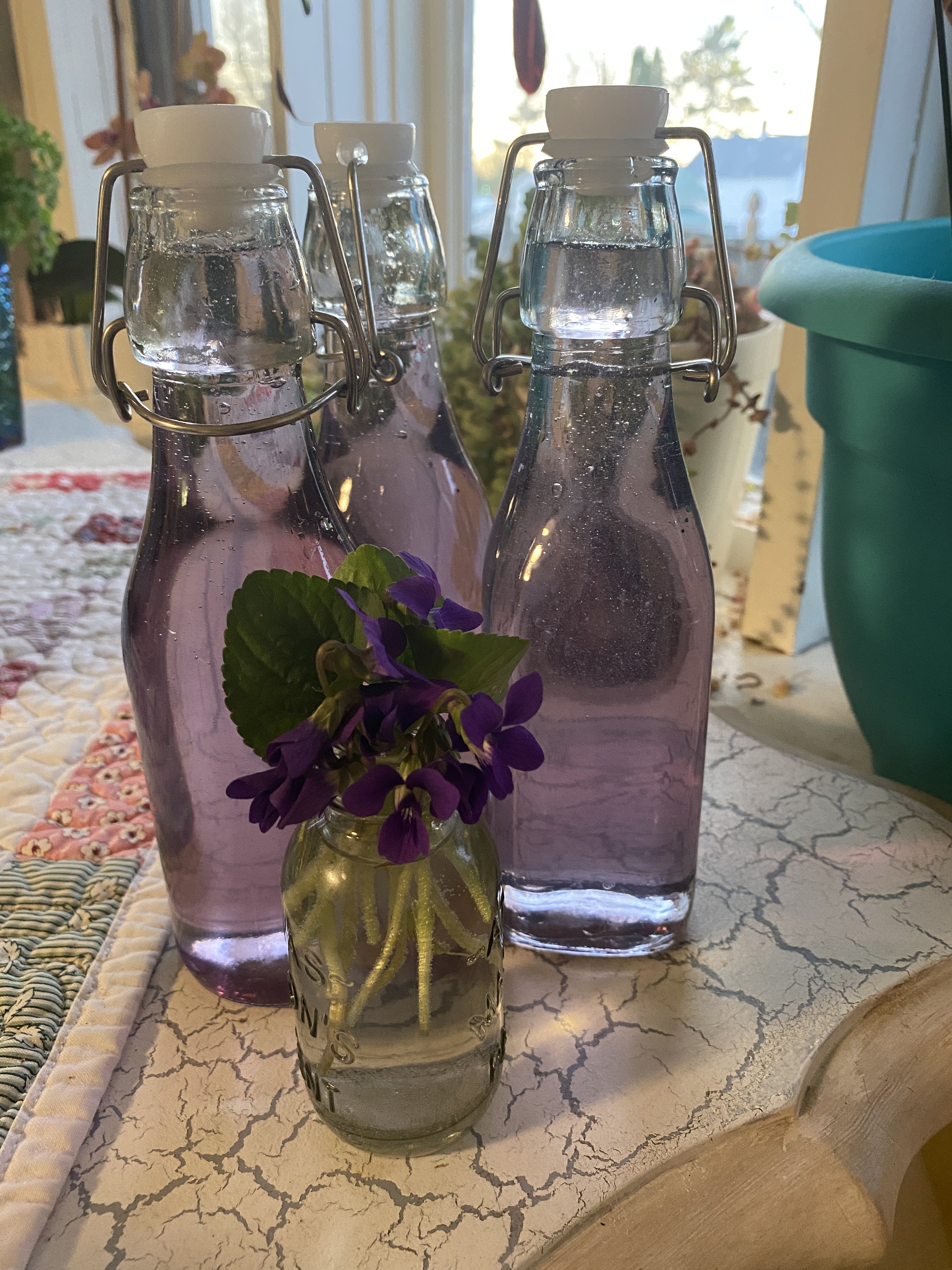 The Magic of Violets — Art by Monica