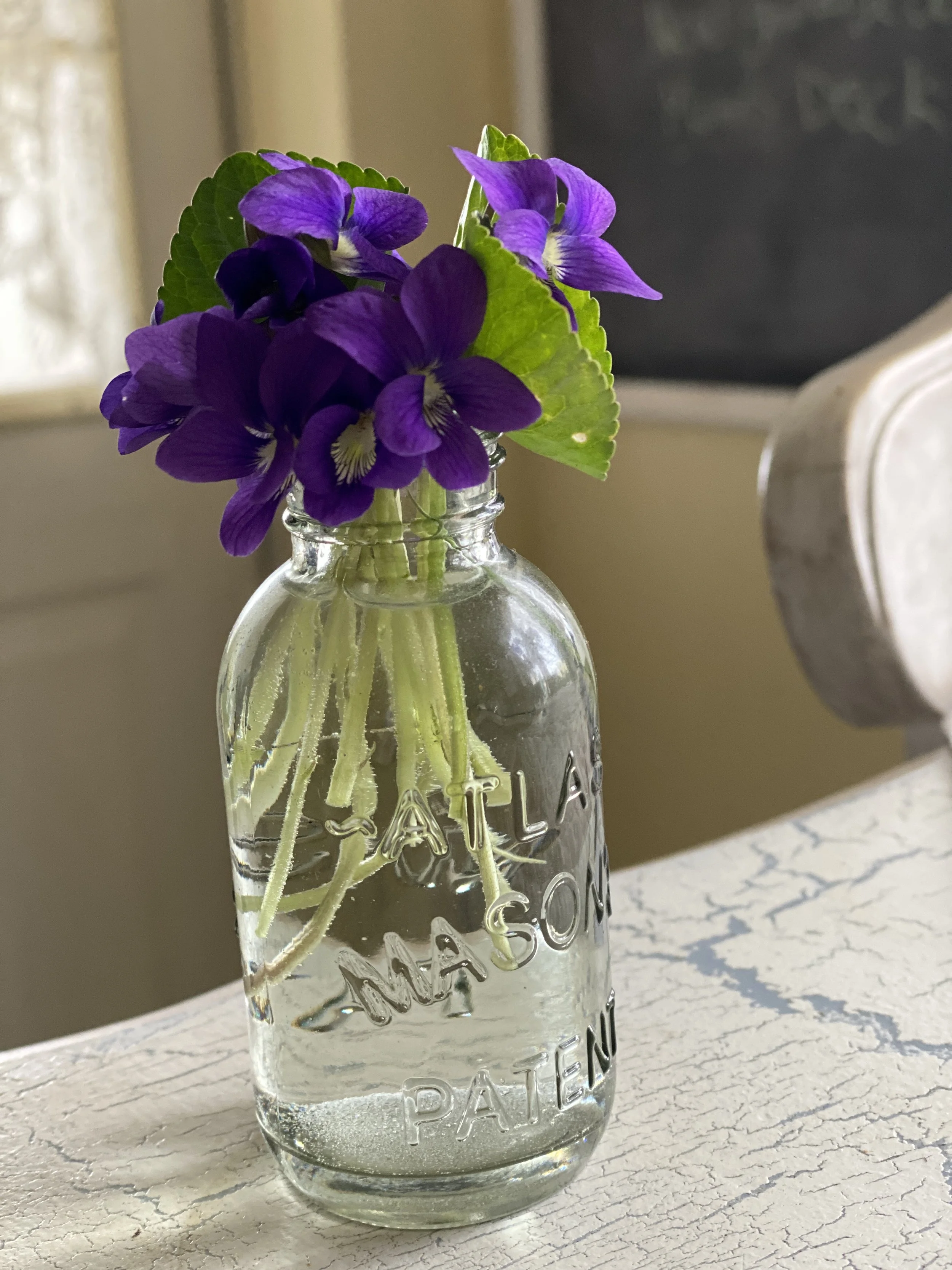 The Magic of Violets — Art by Monica