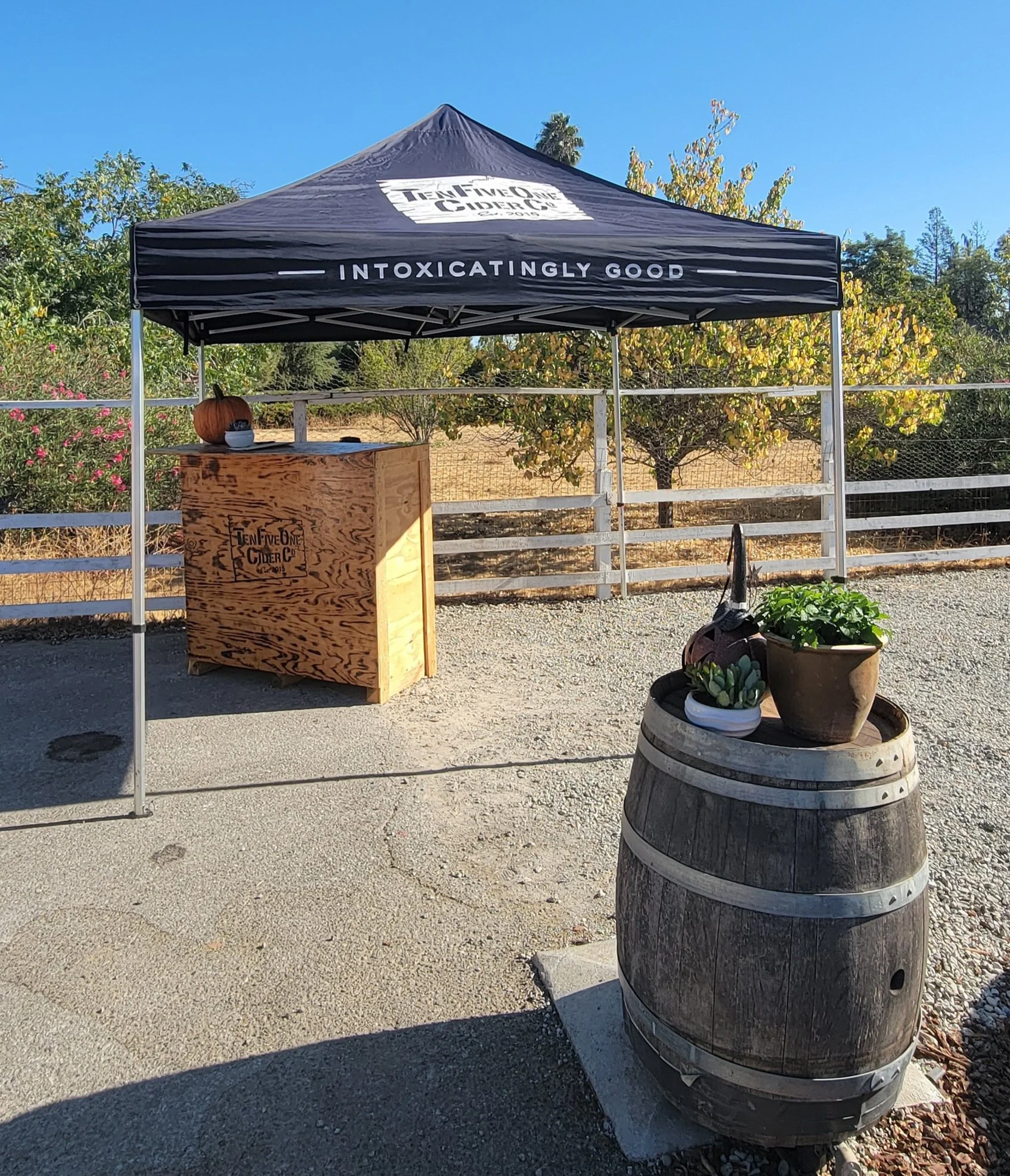 Tasting Room — TenFiveOne Cider Co