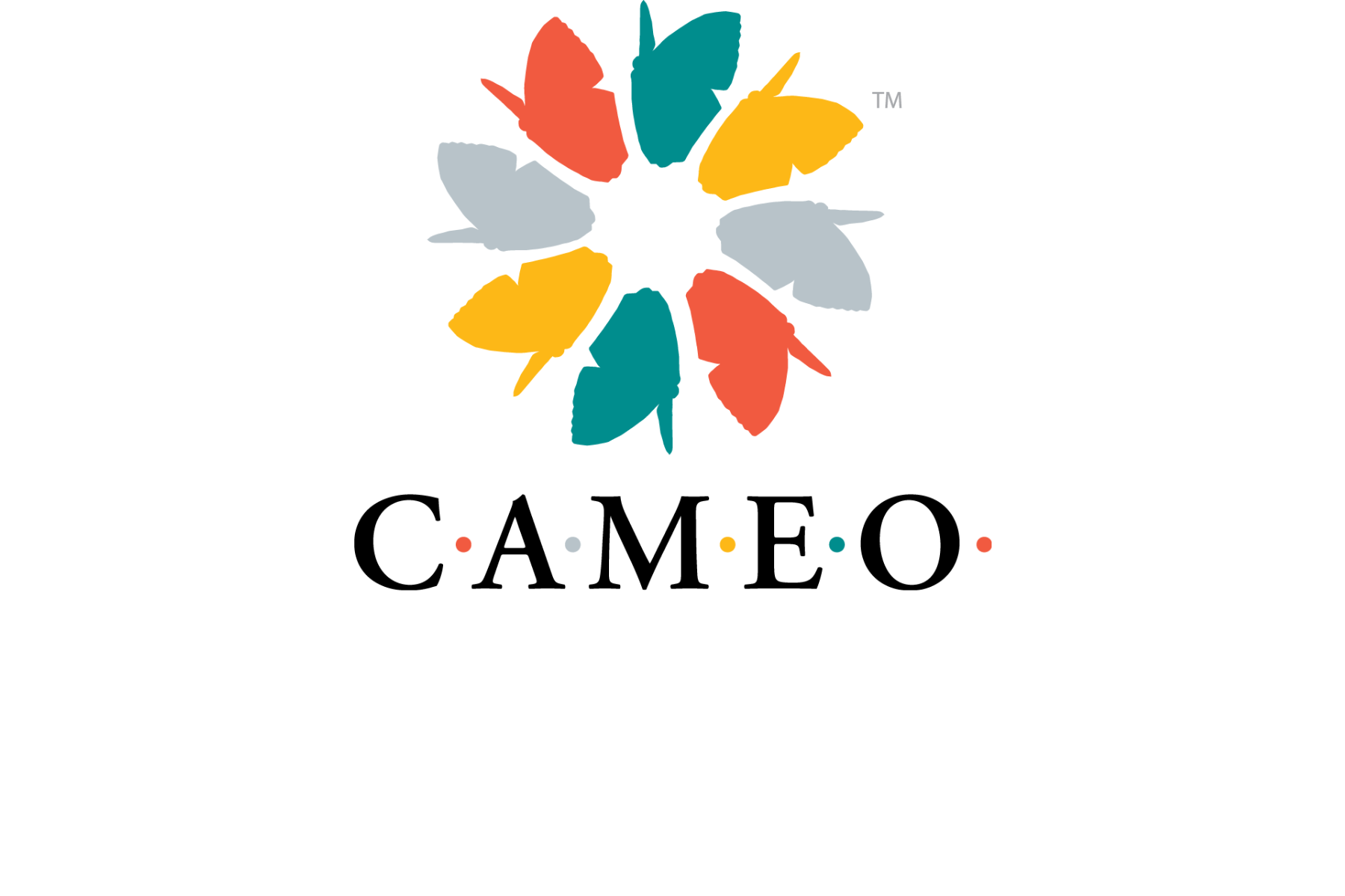 CLF About Us EN — ¡HICA!