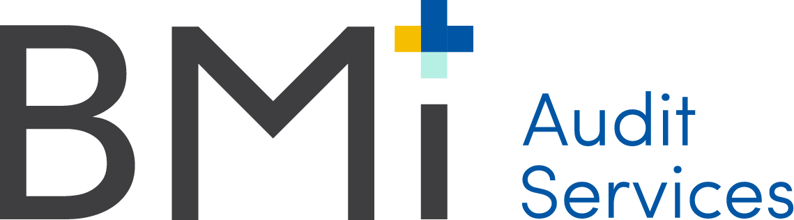 BMI Logos — BMI Audit Services