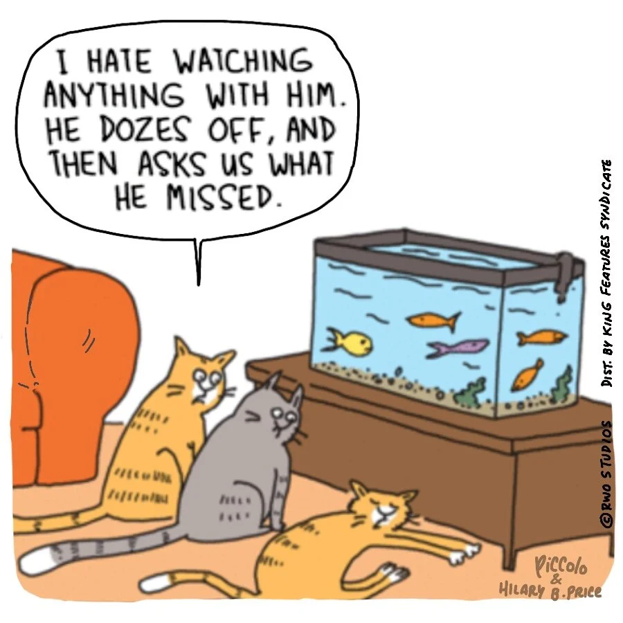 Furry Friday, Mar. 13 — Rhymes With Orange