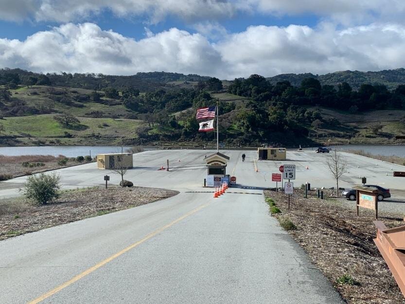 Calero Reservoir (Late Winter/Early Spring): Dancing Western and Clark ...